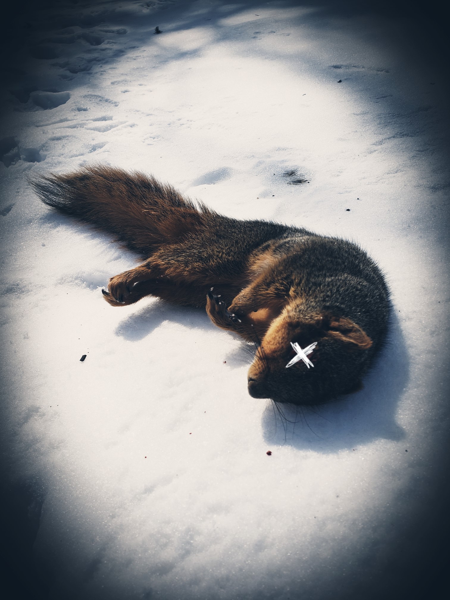 Fell Winter – Trash